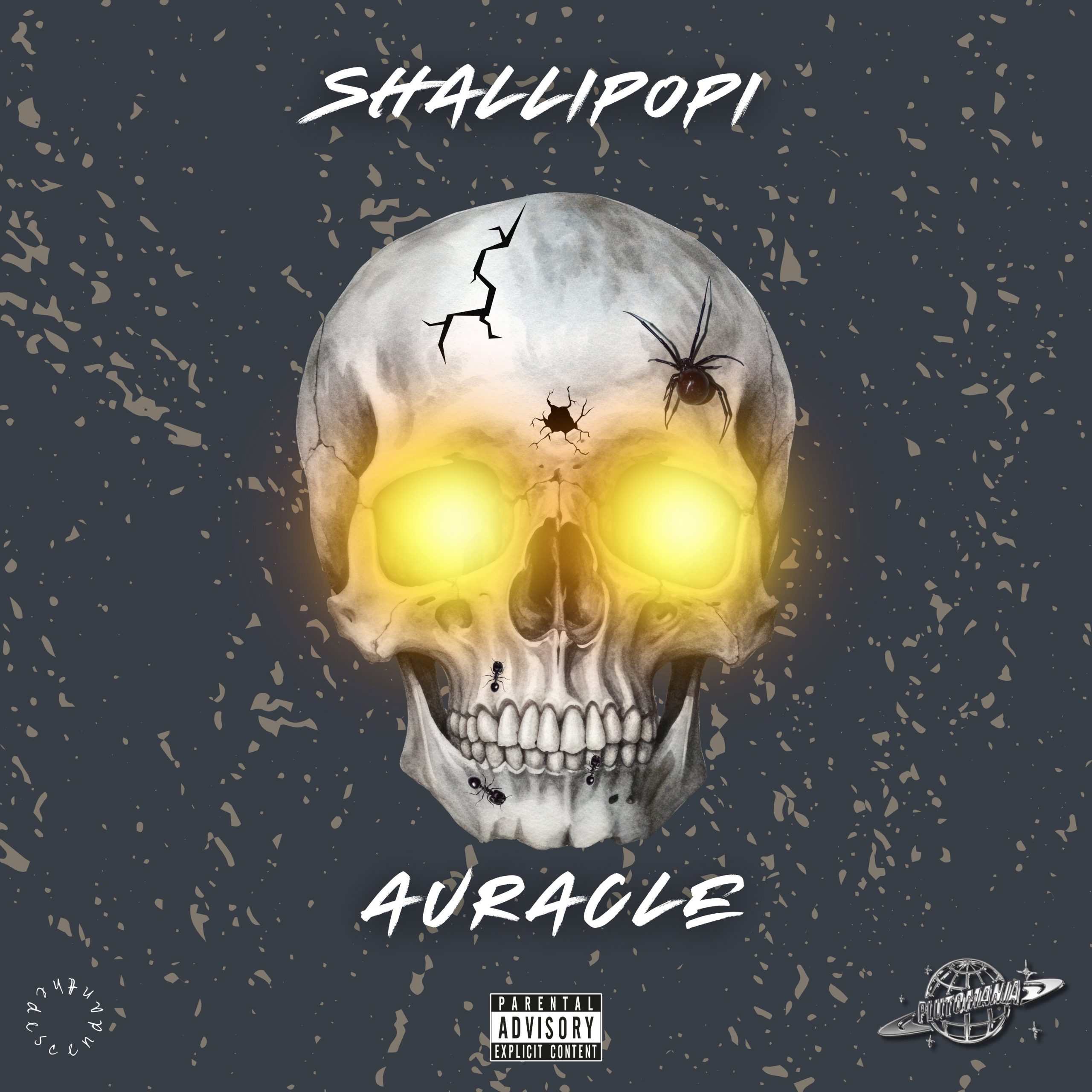 Shallipopi Releases "Auracle" Brand New Album - Trickle Media